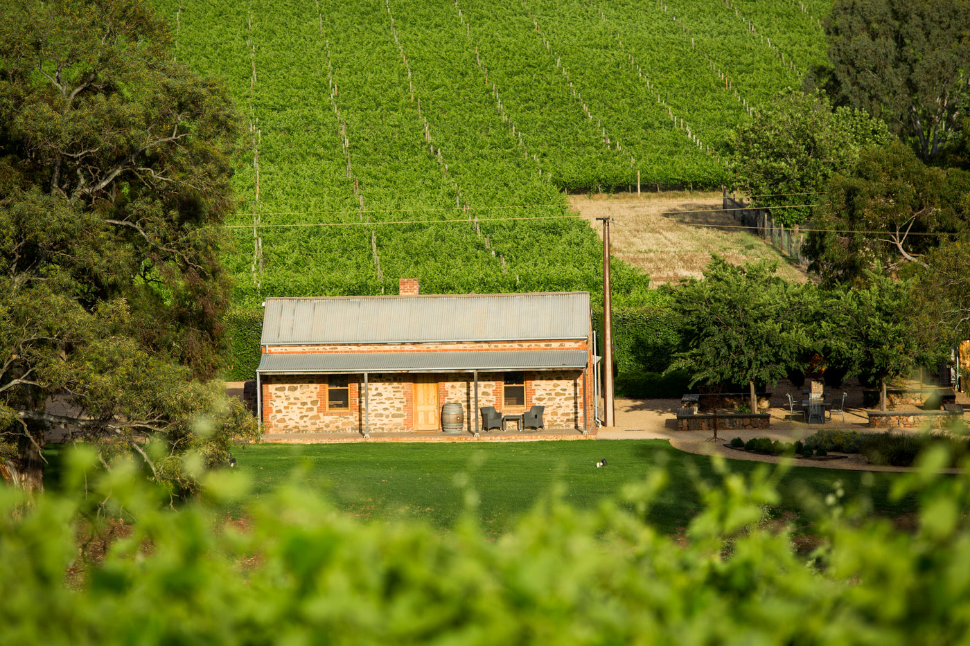 About – Hentley Farm