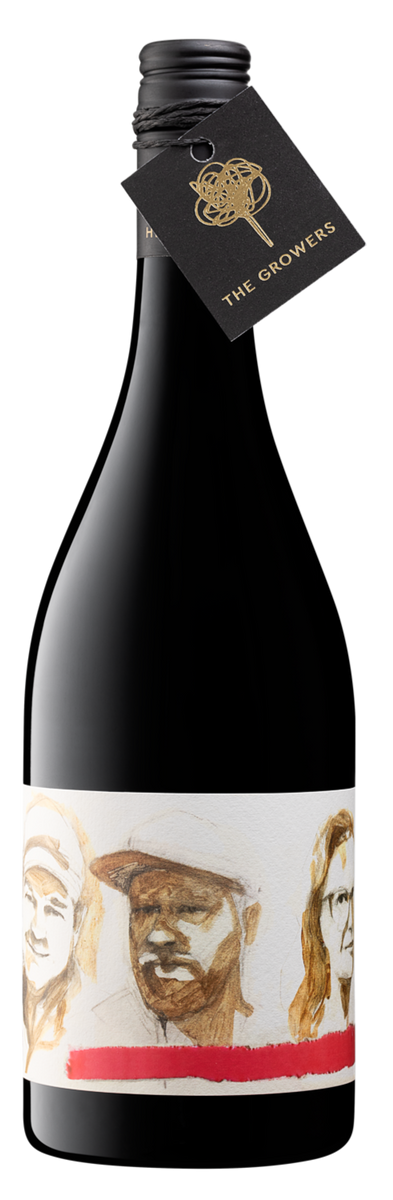 2023 The Creation Shiraz - 4pk – Hentley Farm