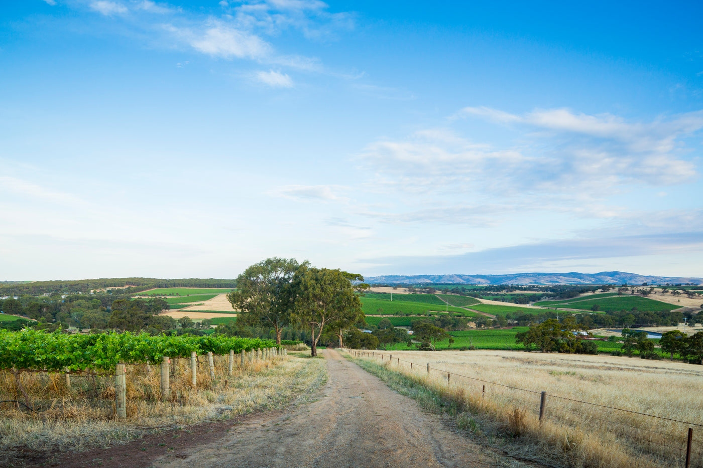 About – Hentley Farm